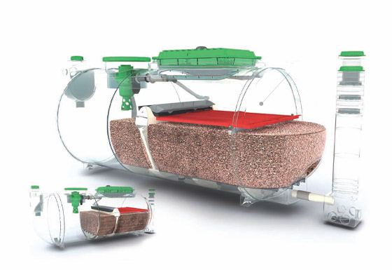 Le filtre à coco : une solution de phytoépuration durable